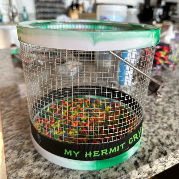 Small Pets | New Xl Hermit Crab Tank Ended Up Getting A Glass Tank ...